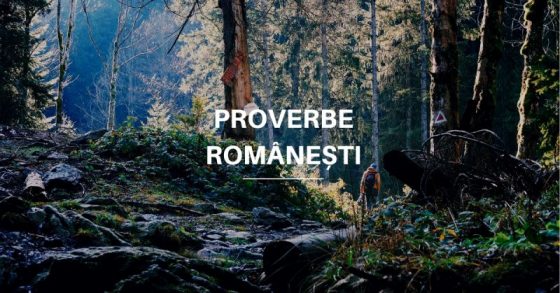 288 Proverbe Românești - proverbe scurte și înțelepte