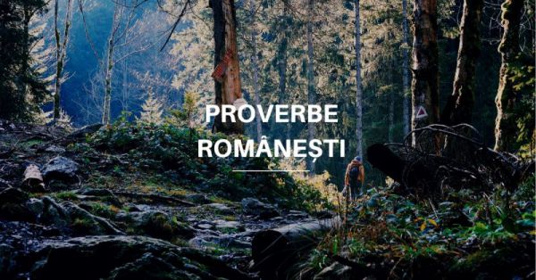 288 Proverbe Românești - proverbe scurte și înțelepte